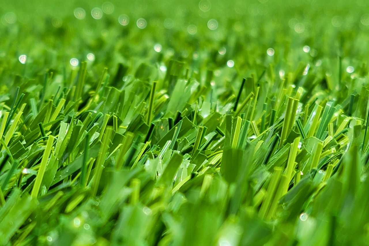 AstroTurf - AstroTurf