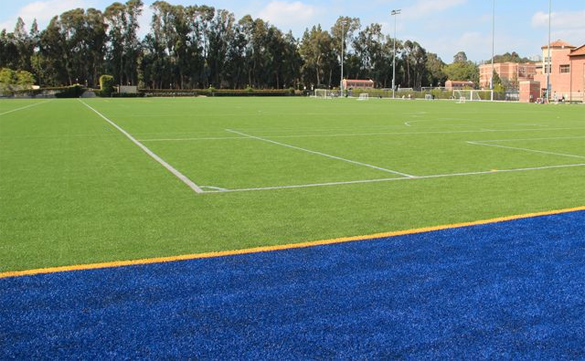 UCLA Biobased AstroTurf Intramural Field - AstroTurf